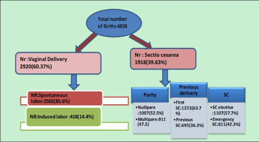 The analysis of Caesarean Section Rate based on 10 groups Robson’s ...